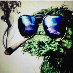 Max - Chef @ food truck | Gronda