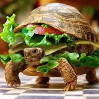 Monteiro Simon - Executive Chef @ Le Noir | Gronda