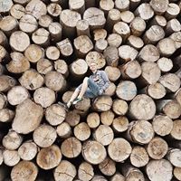 Martin Kehr - Hattingen, Deutschland | Gronda