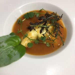 Calix - Cheff @ Food and service | Gronda