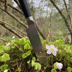 Nicolas Seiler - Küchenchef/in @ Hotel Alfa Soleil | Gronda