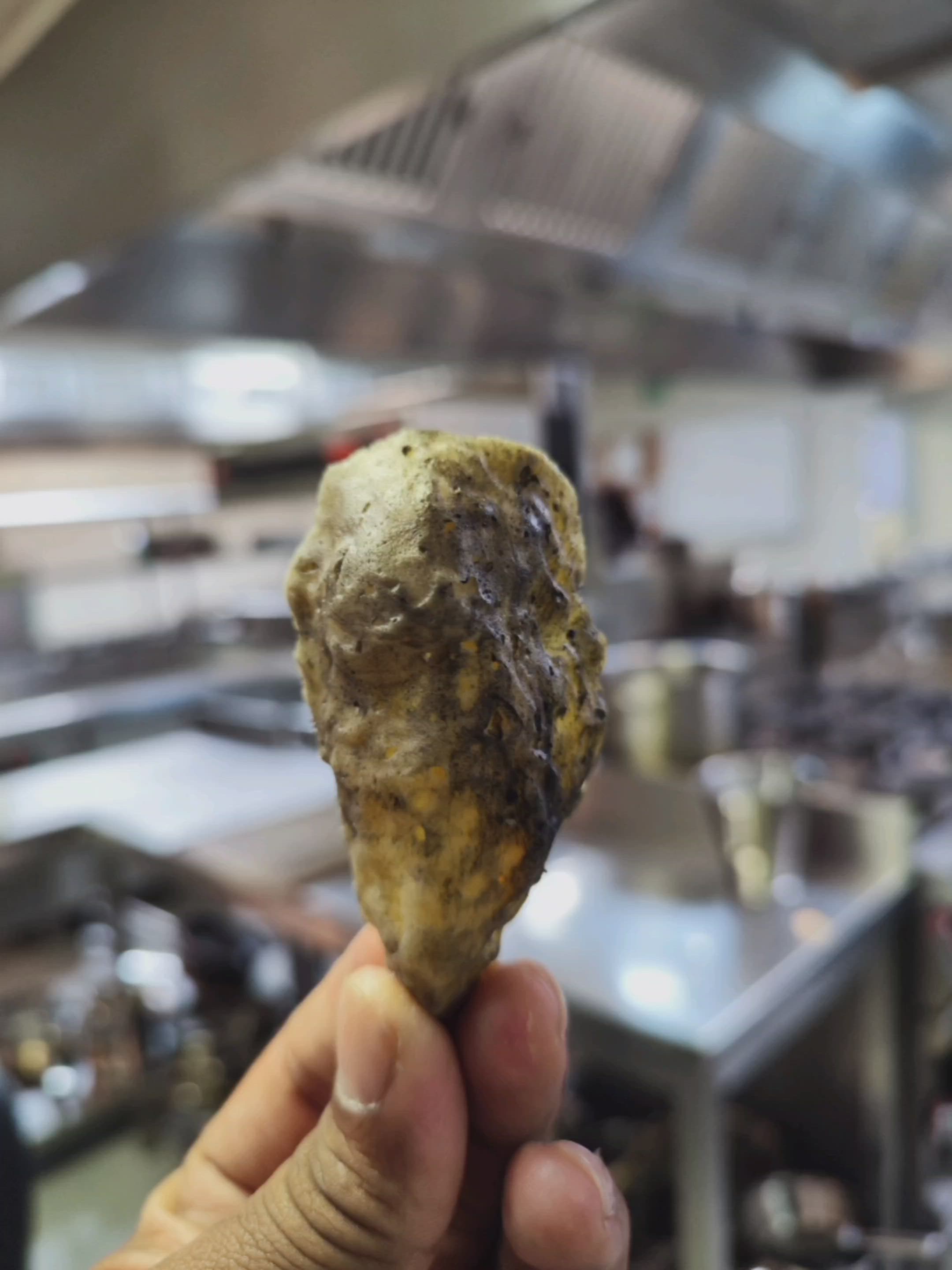 Fake Oyster Shell