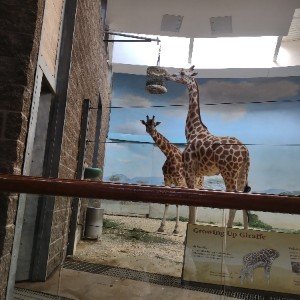 Matthew Doheny - Head chef @ The Buoy Bar | Gronda
