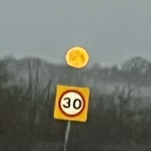 Alex Mckay - Commis Chef @ Sheppy | Gronda