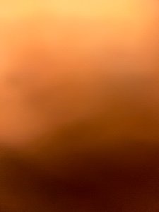 Nico Lenerz - Daun, Deutschland | Gronda