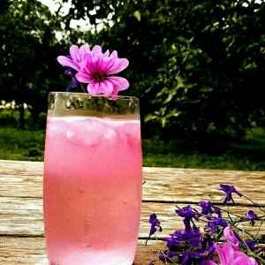 Vlora Gashi - Bartender @ Gizzi Grill | Gronda